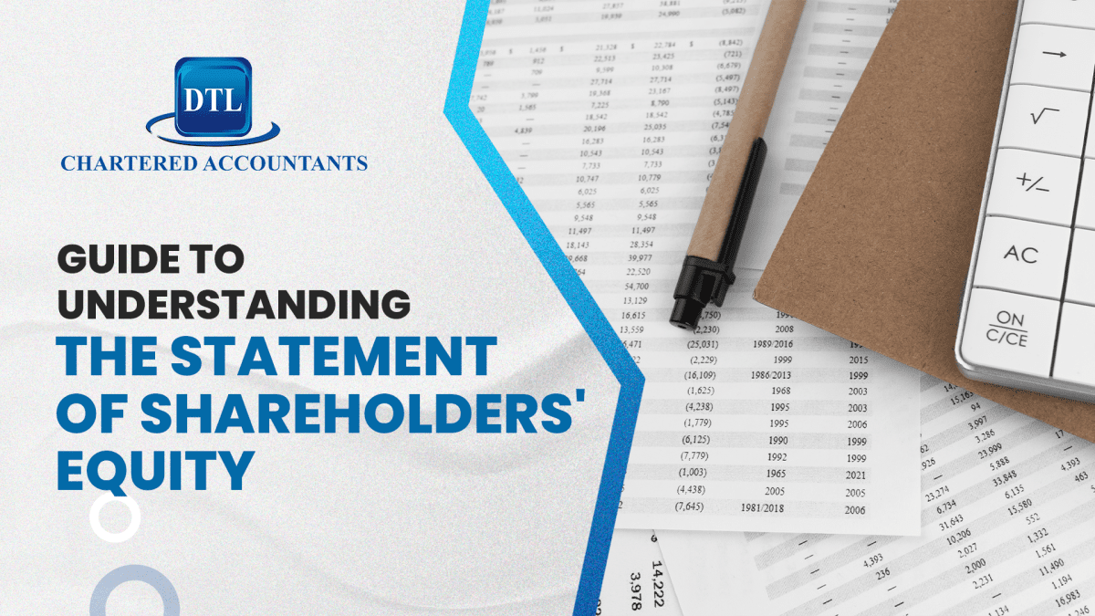 Shareholders' Equity Statement: Analysis & Components